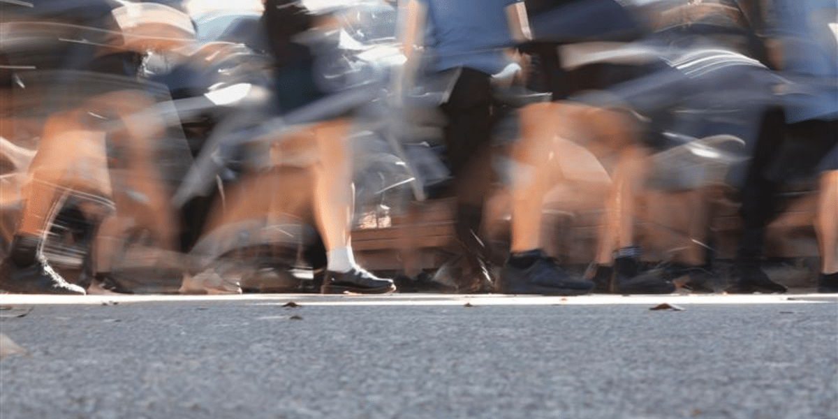 A new chapter: Introducing the Australian Public Policy Institute ...